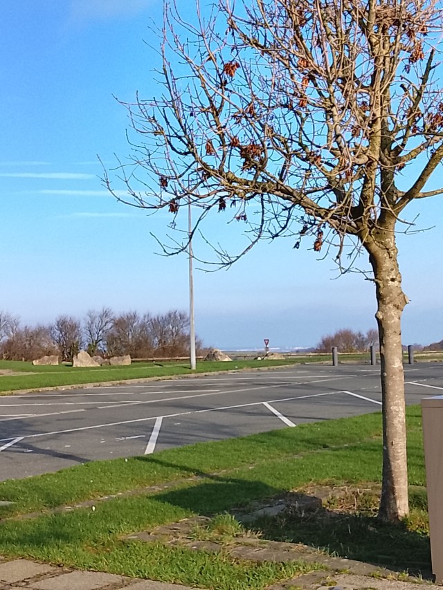 Discovering the Rouen of Jeanne d’Arc | promenadingpeacocks